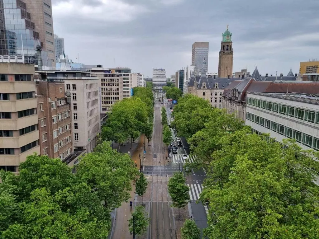 Accountant en financieel adviseur Rotterdam | Newtone